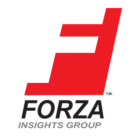 Team Forza – FORZA INSIGHTS GROUP